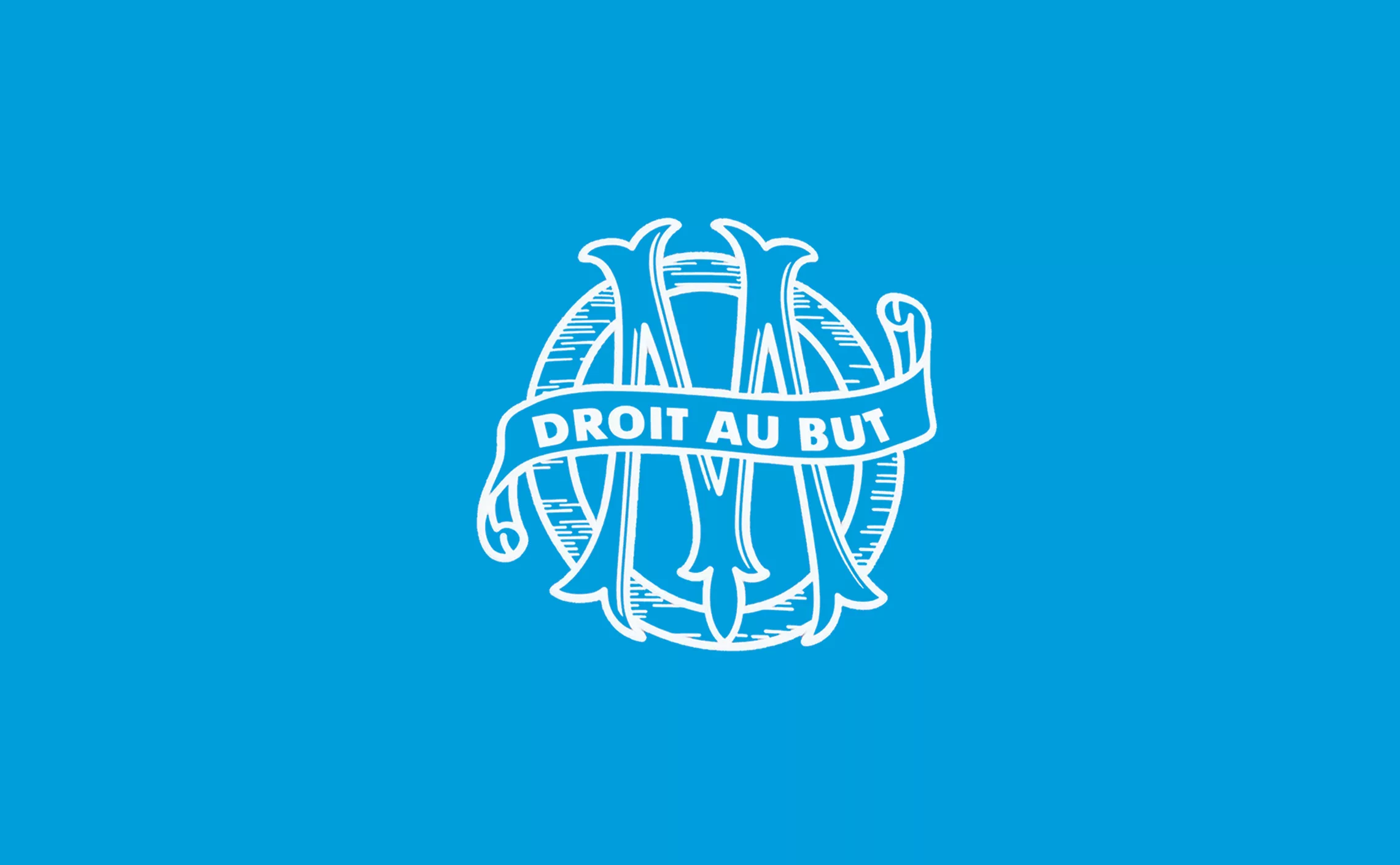 New logo for OM: analyzing a sports crest